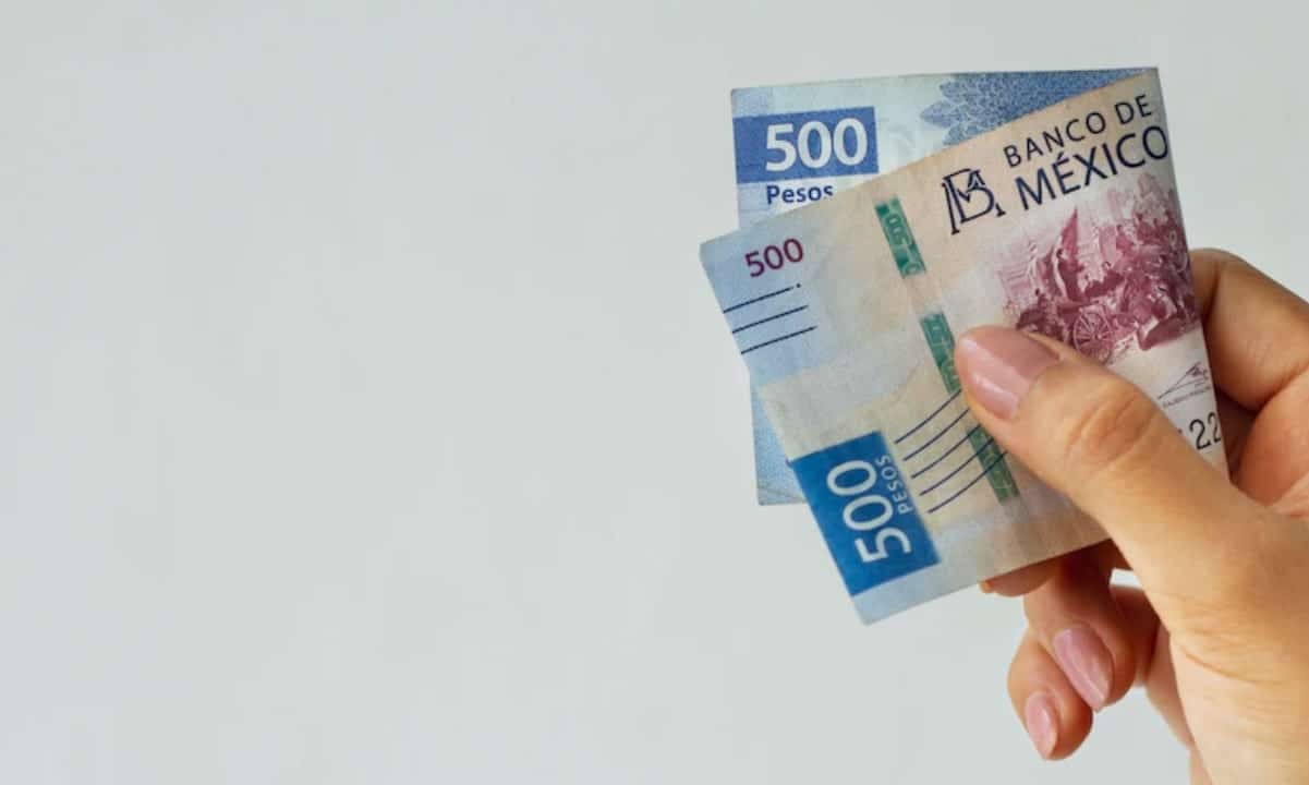Cómo pagar a meses sin intereses en Shein