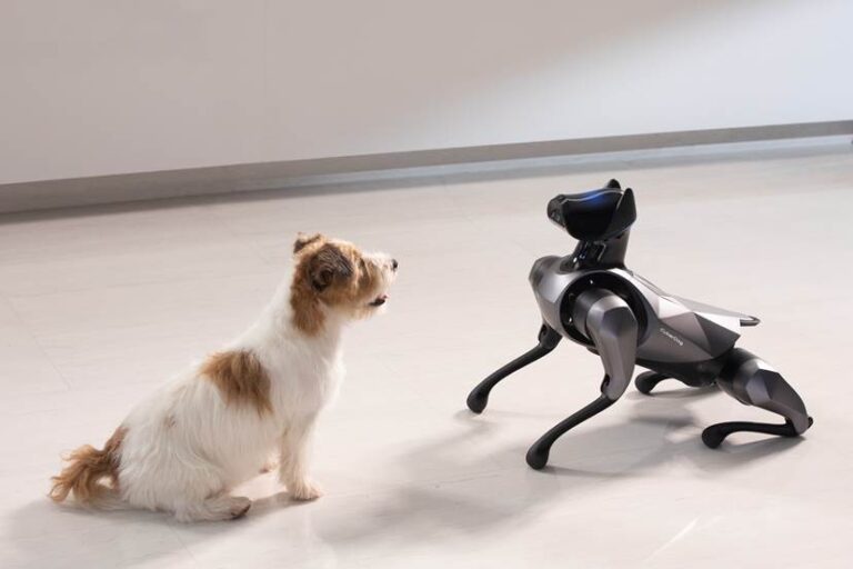 Xiaomi CyberDog 2: review and how to buy it outside China